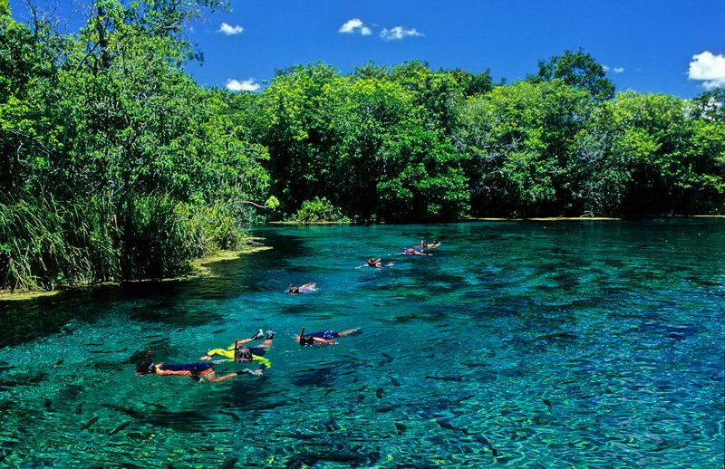 Flutuação em Bonito, aquário natural Rio Sucuri – Guia Viajar Melhor ...